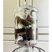 DIY Closed Terrarium, Layer by Layer | Sprouts and Stems