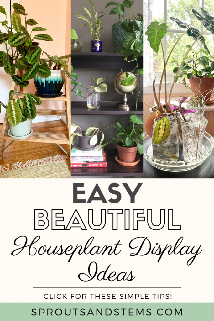 Easy Ways To Beautifully Display Your Houseplants | Sprouts and Stems