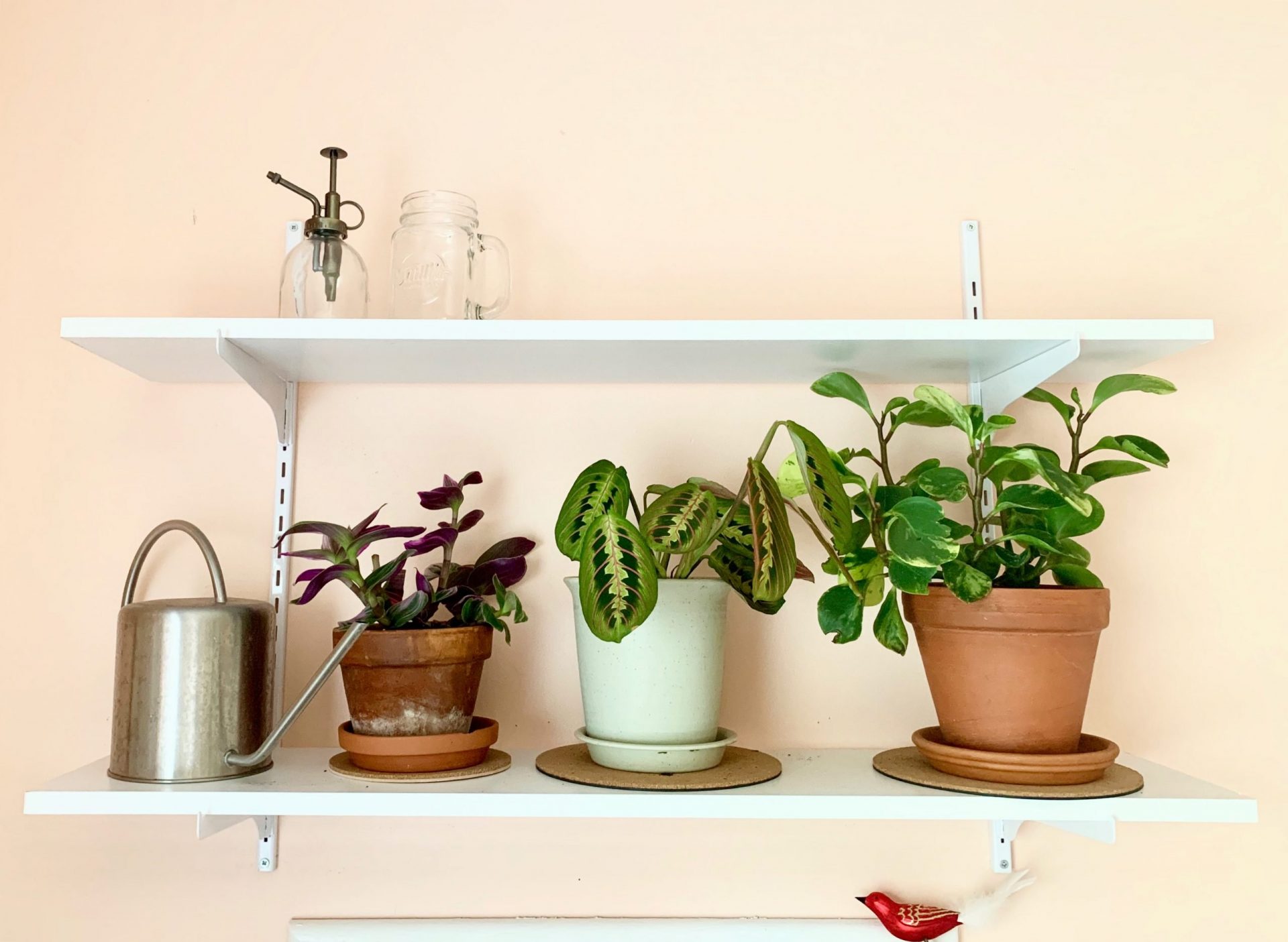 Easy Ways To Beautifully Display Your Houseplants | Sprouts and Stems