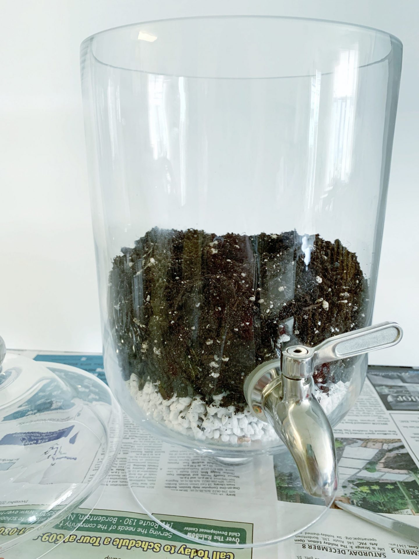 DIY Closed Terrarium, Layer by Layer | Sprouts and Stems