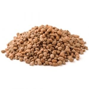 What is LECA and Will It Help Your Plants? | Sprouts and Stems