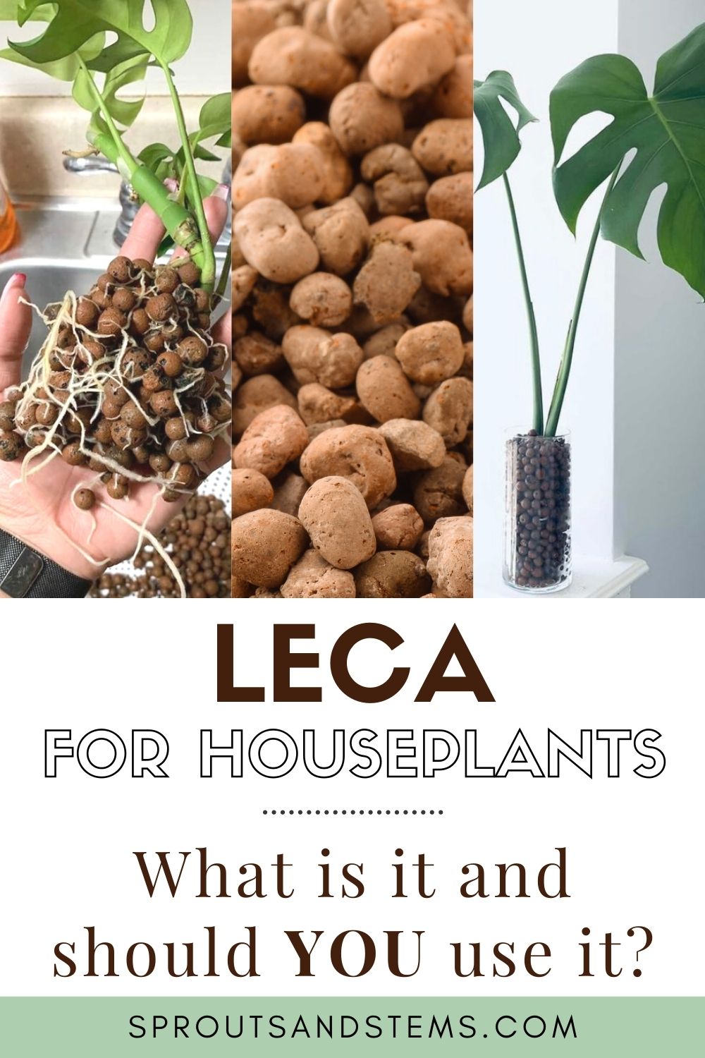 What is LECA and Will It Help Your Plants? | Sprouts and Stems