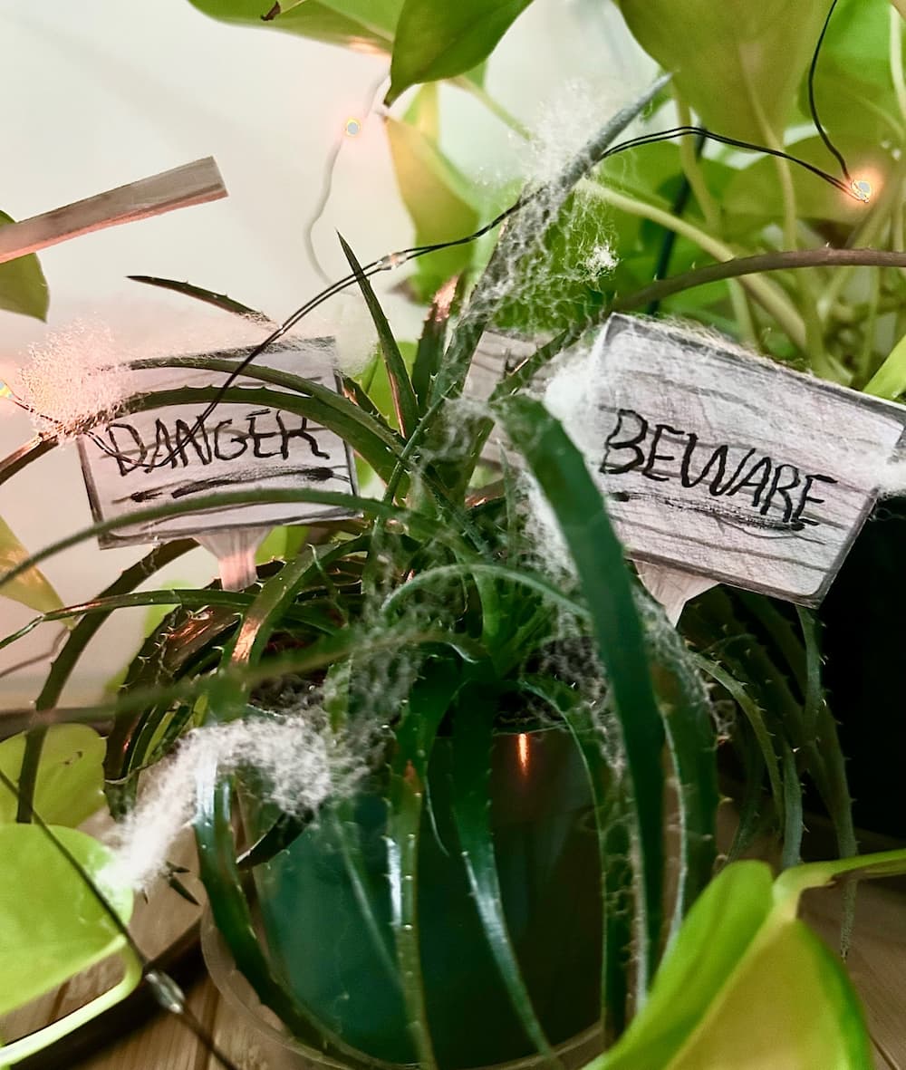 4 Halloween plant decorations | Cheap & easy DIYs (with video ...