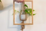 6 Budget-friendly, creative plant hanger ideas (with video) | Sprouts ...